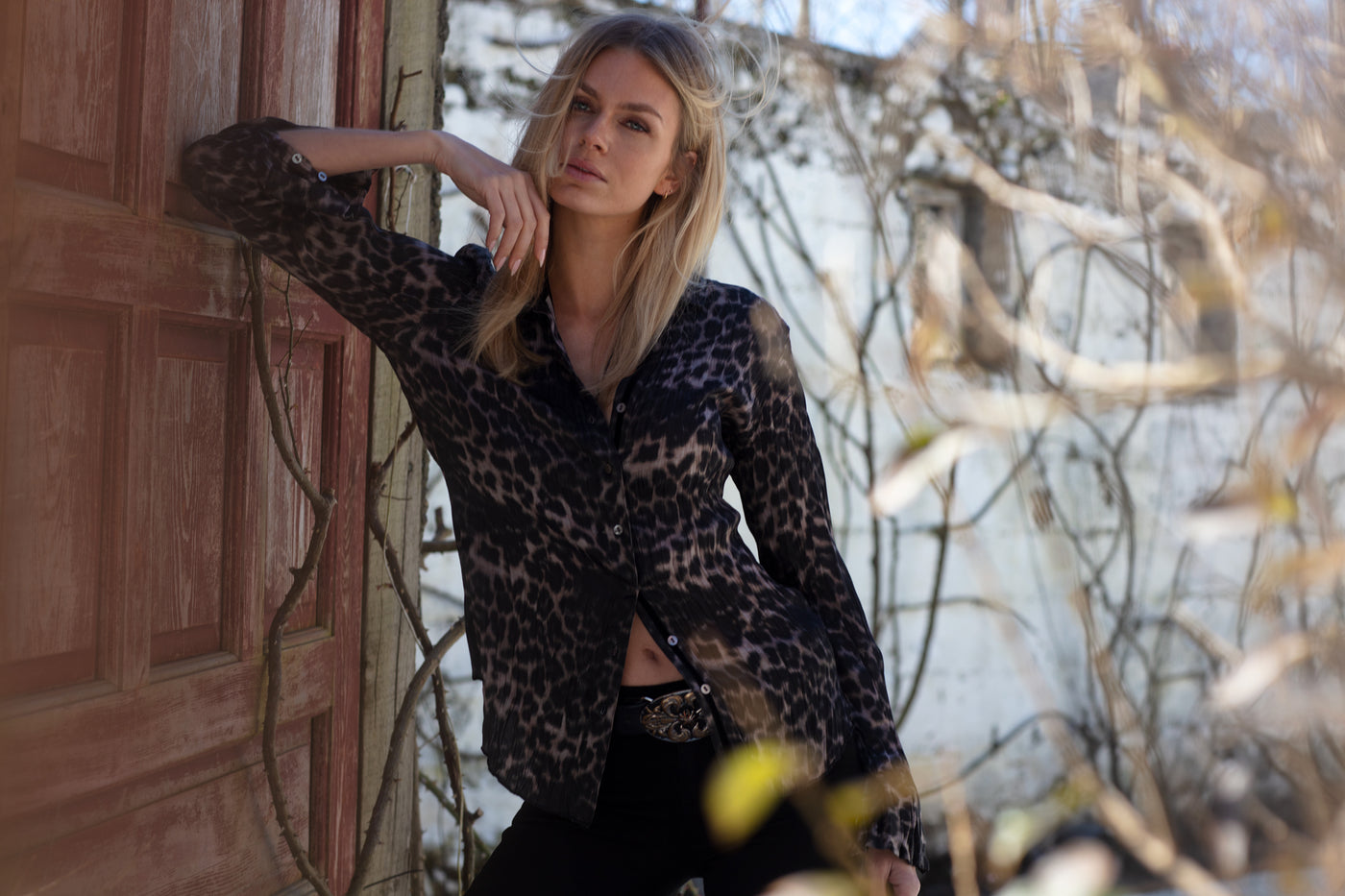 Women's Boutique Clothing | Boutique Shirts | Cino